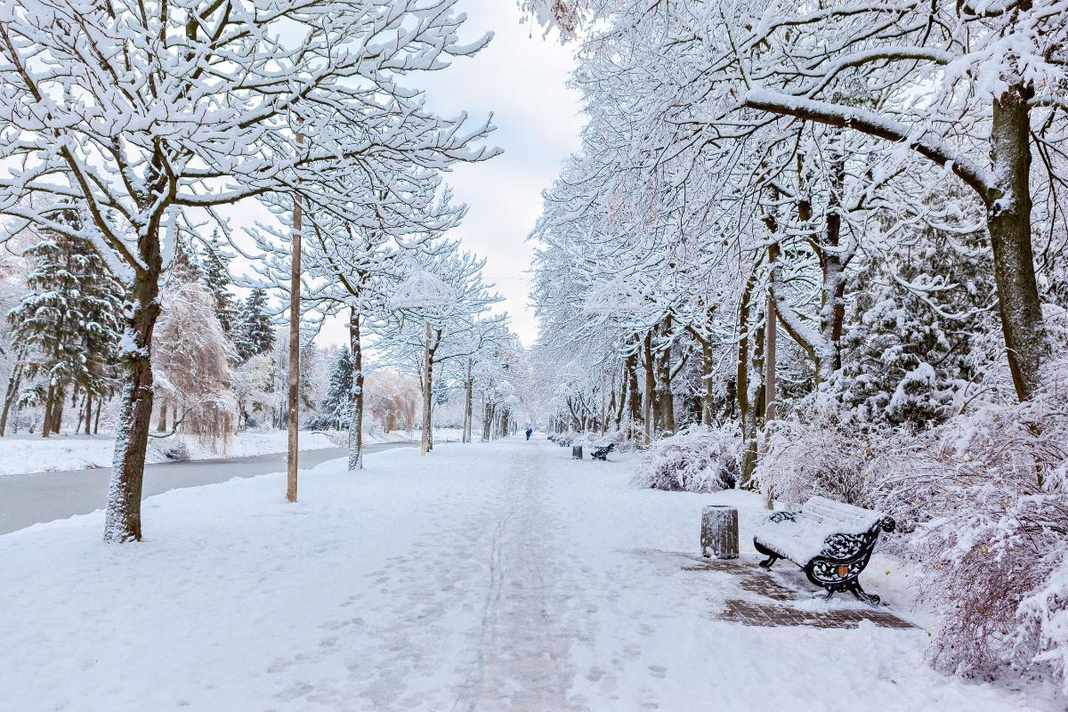 What Is a Cold Wave Weather Phenomenon? - Cold Snap Causes and Consequences