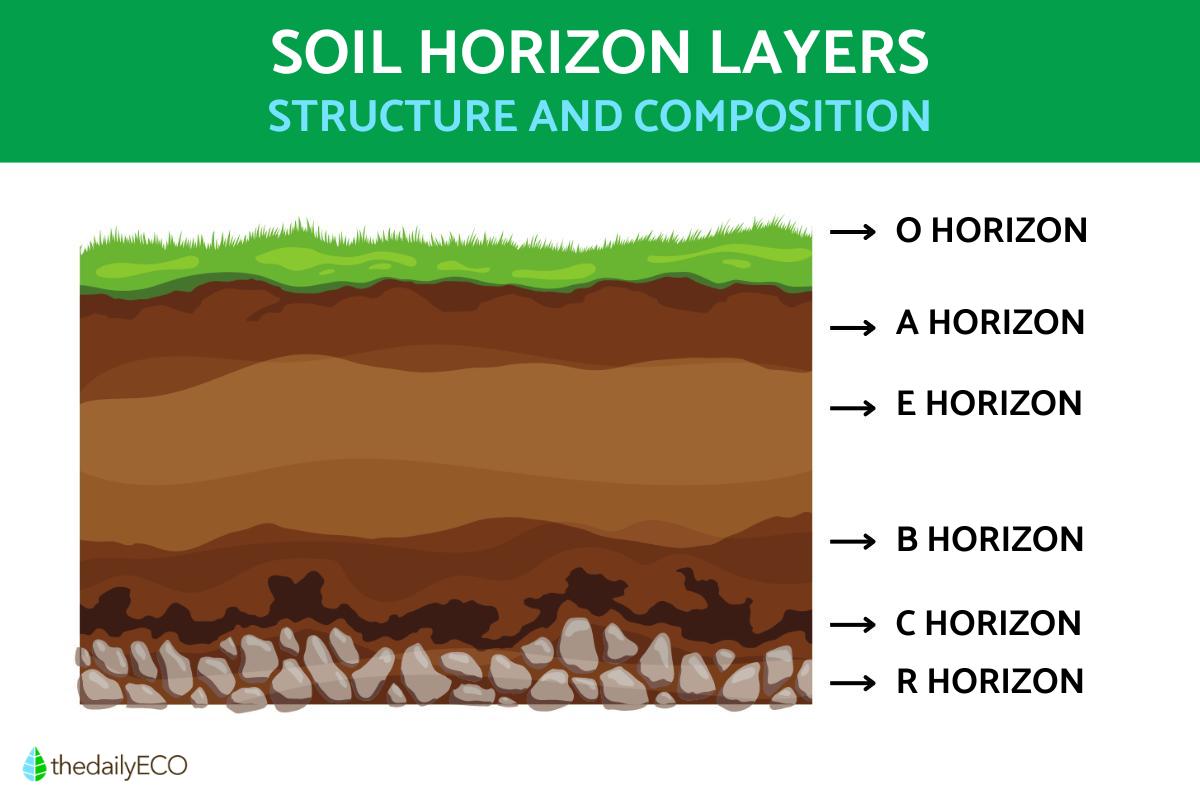 Horizon Layers Of Soil Soil Horizon Explanation With Examples Horizon Layers Of Soil Soil Horizon Explanation With Examples