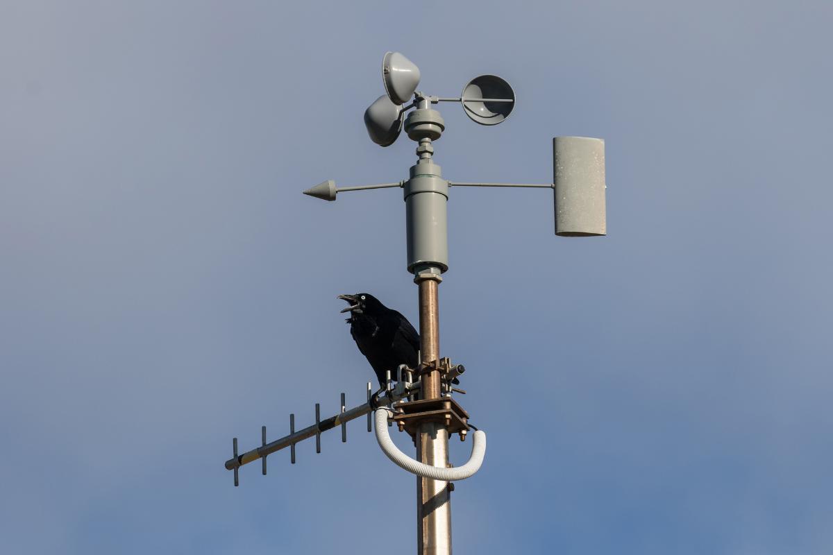 What Is an Anemometer Used For? - Anemometer Uses, Types and How It Works