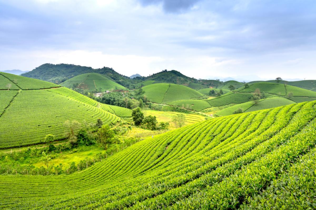 What Is a Hill in Geography? - Formation and Types