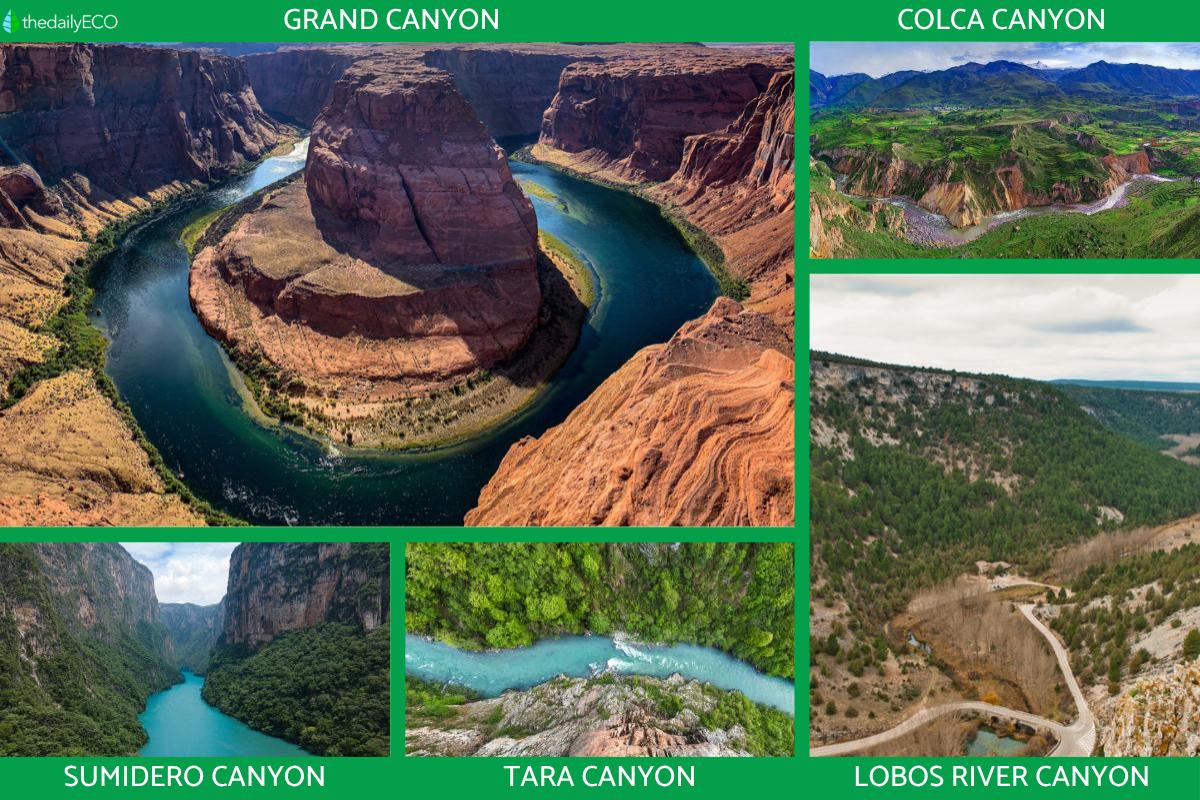 What is a Canyon in Geography? - Canyon Formation and Examples