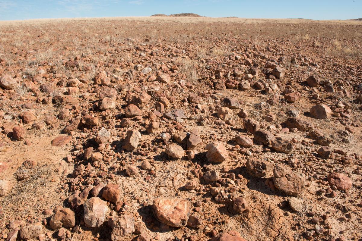 What Is a Desert Pavement? - Formation and Examples