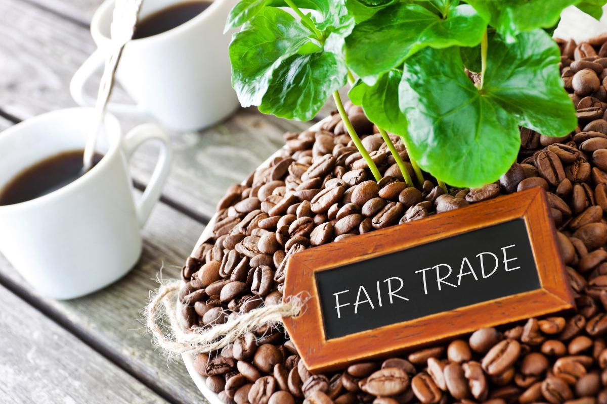 What Are the Principles of Fair Trade? - With Examples