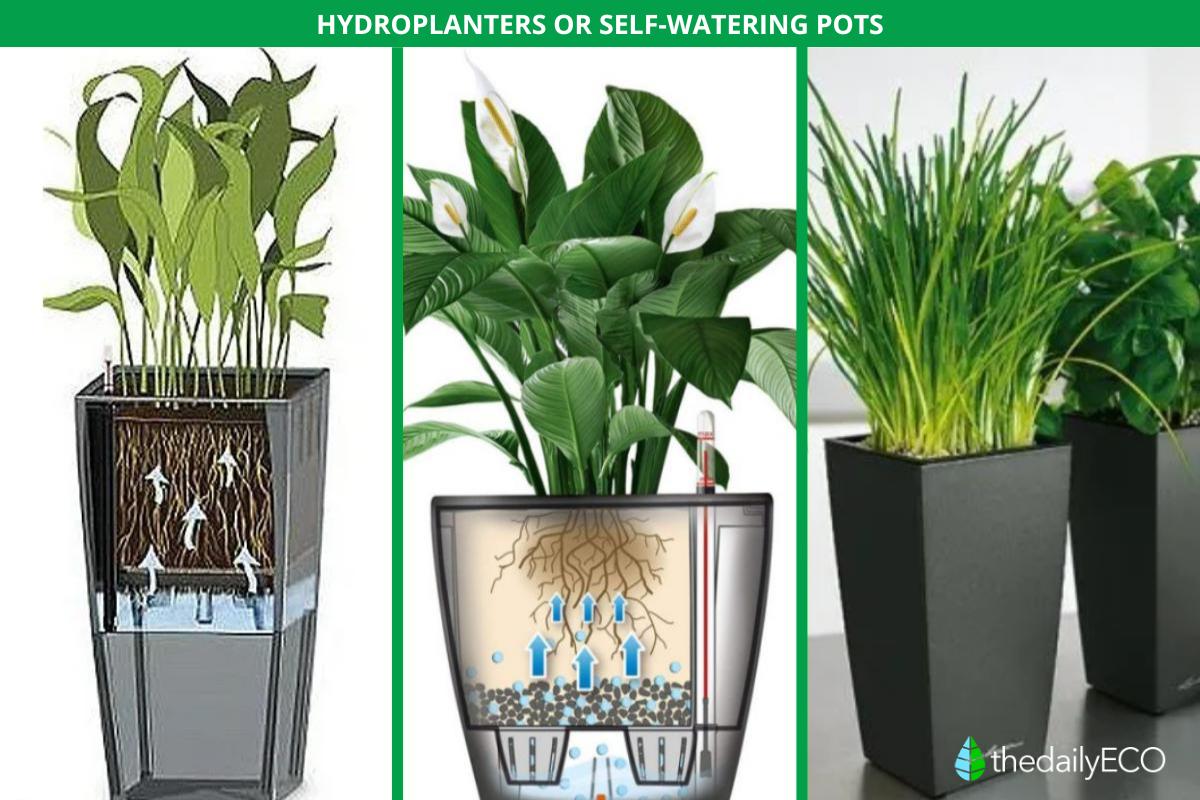 How to Water Indoor Plants While on Vacation - 7 Tips and Tricks