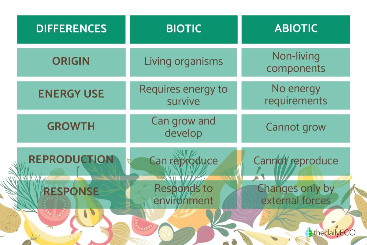 Biotic vs. Abiotic Factors - Key Differences and Examples Explained