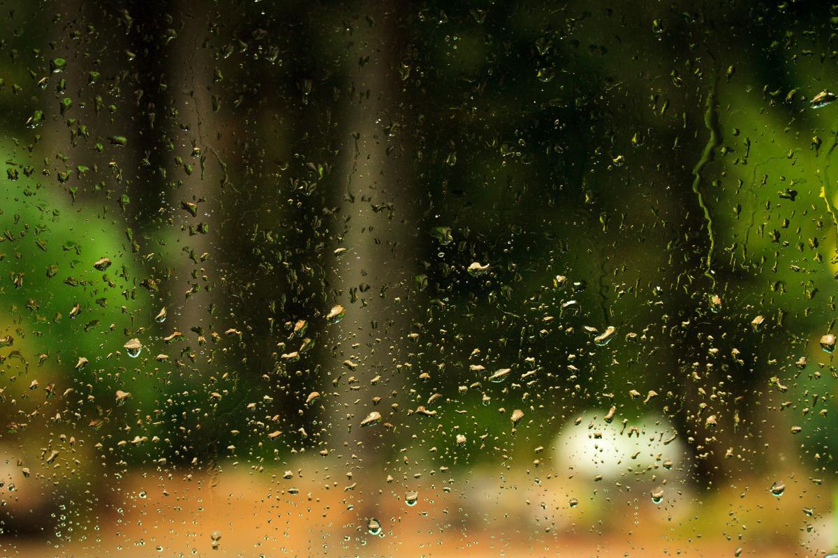 Drizzle vs. Rain - Key Differences, Effects, and What It Means for Weather