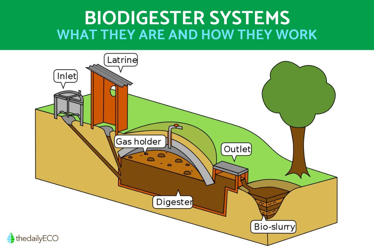 What Is a Biodigester and How Does It Work? - Biodigester System Explained