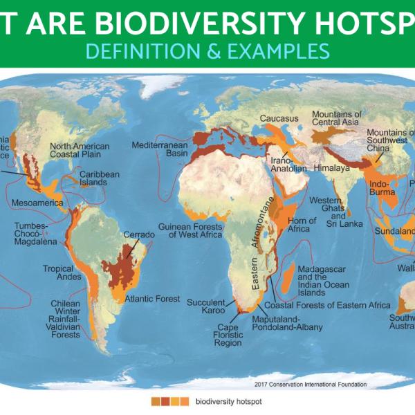 biodiversity hotspots examples