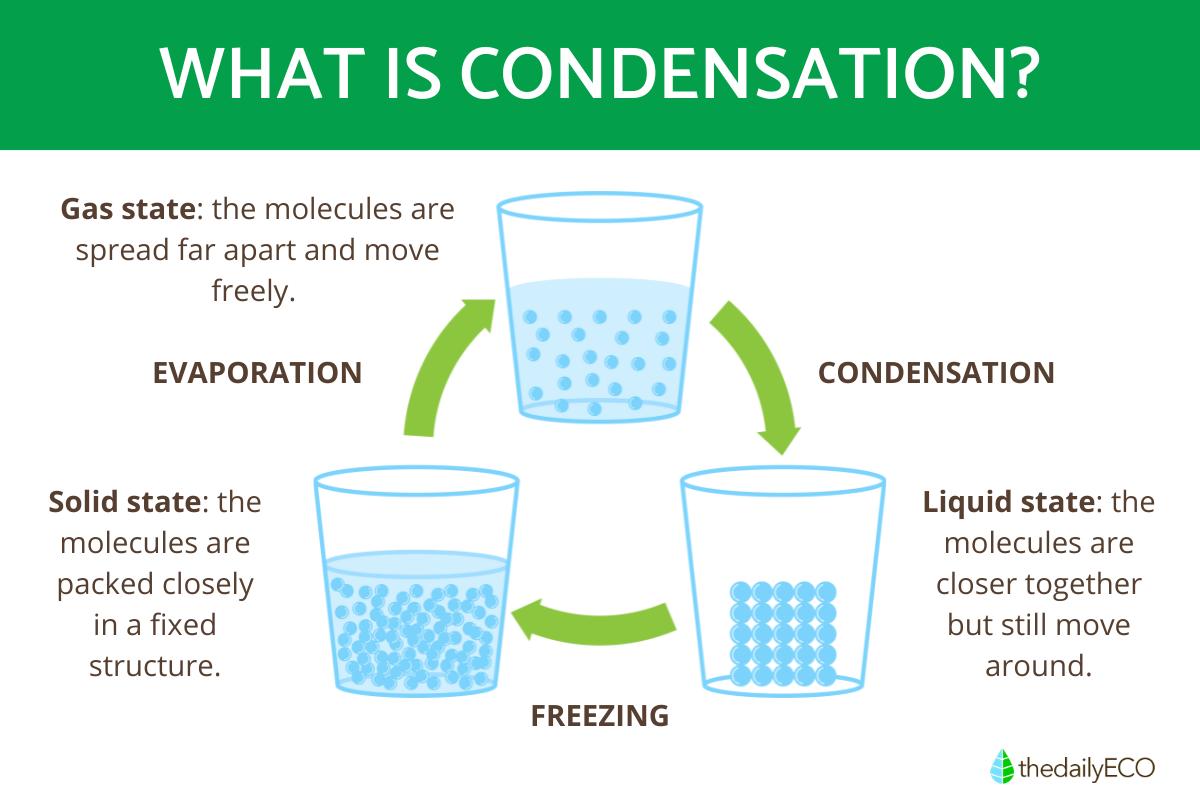 What Is Water Condensation? - Definition, Process & Examples