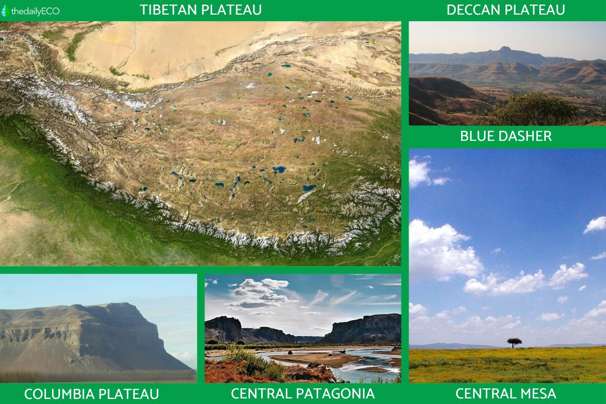 What Is a Plateau in Geography? - Formation and Examples