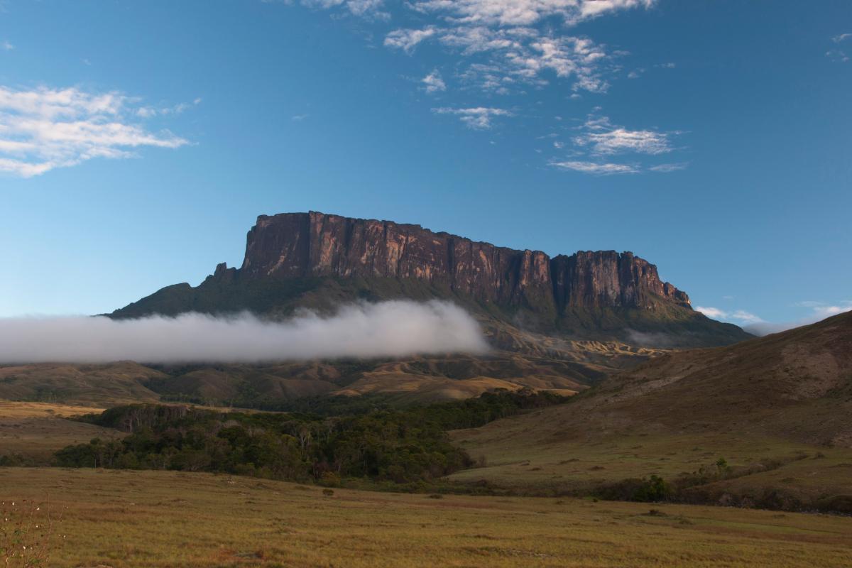 What Is a Plateau in Geography? - Formation and Examples