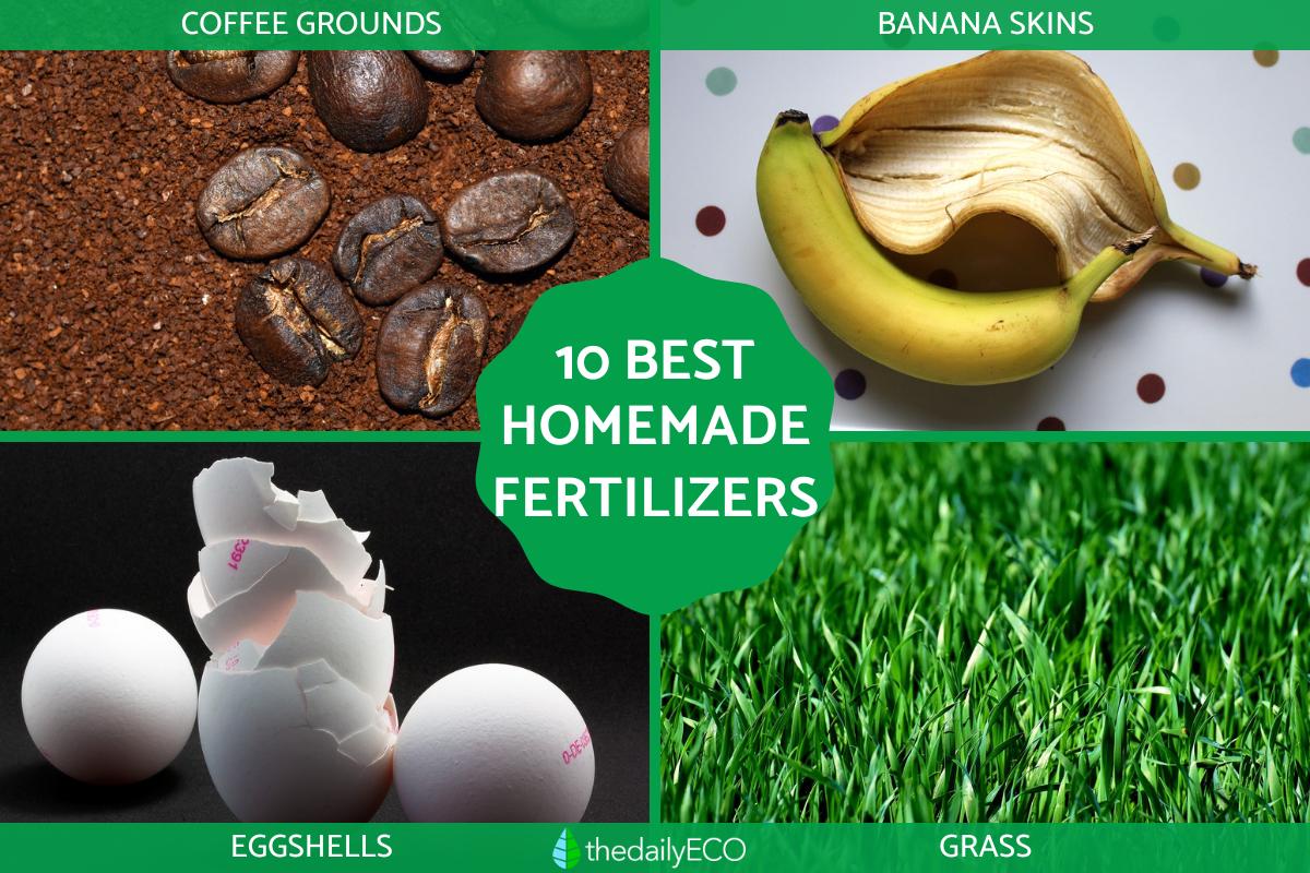 Natural Fertilizers For Plants Homemade Natural Fertilizers For Plants Homemade