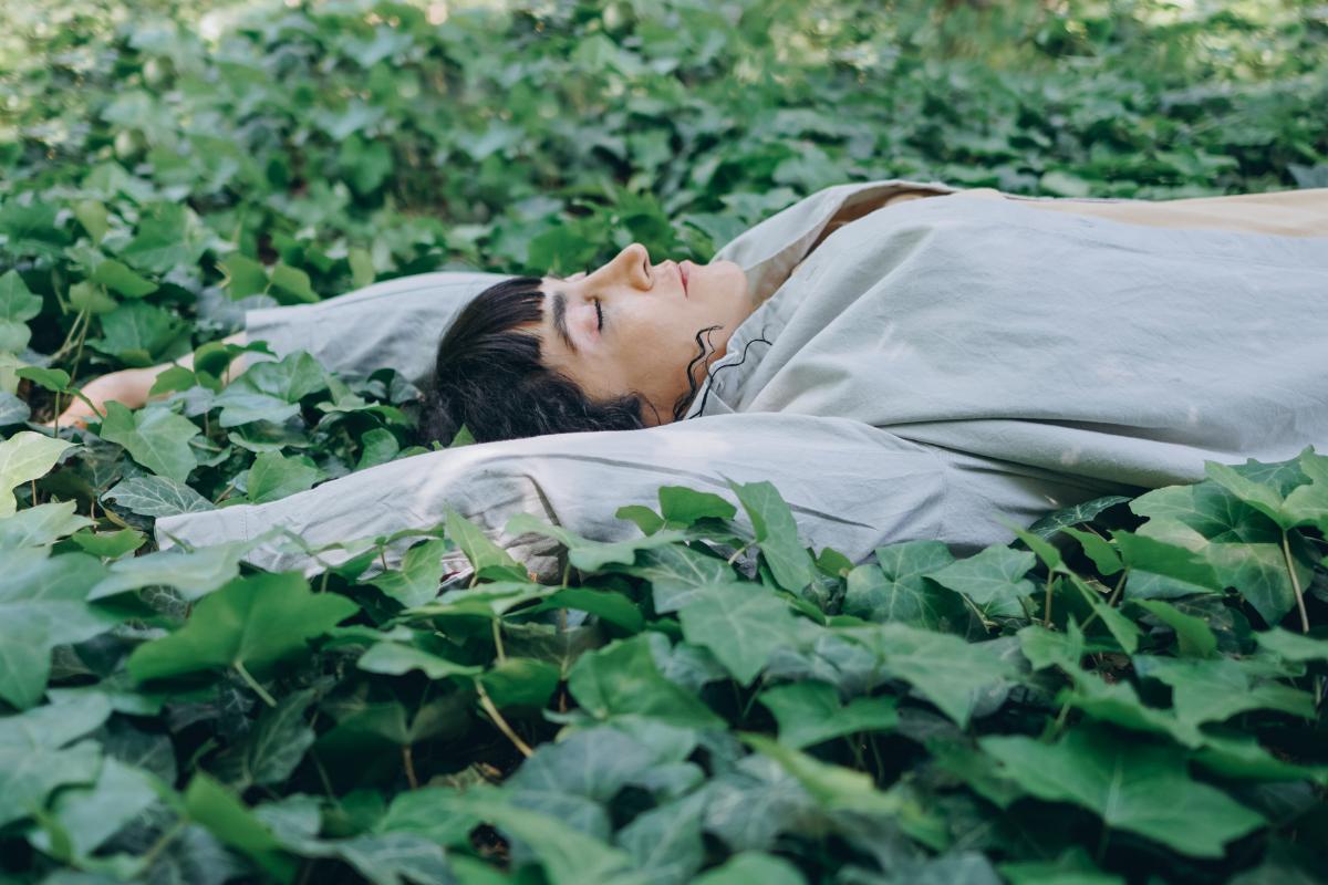 What is Ecotherapy? - Benefits, Techniques, and How to Start Nature Therapy