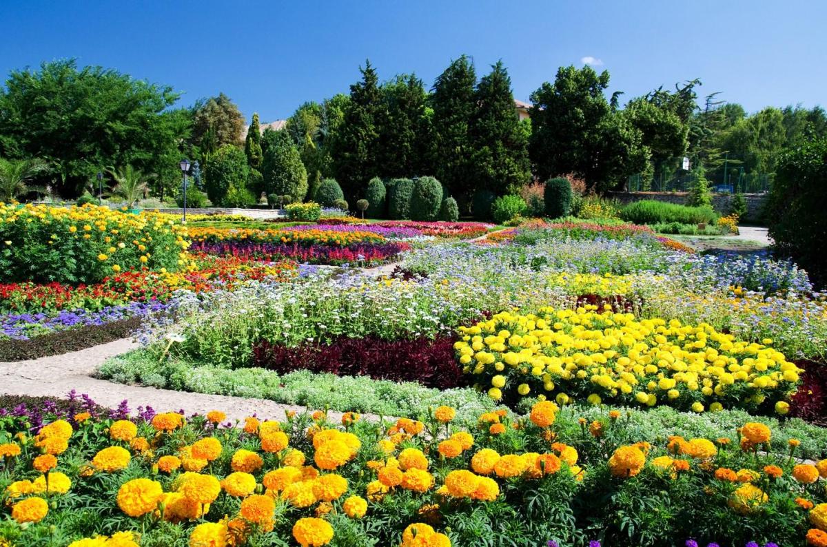 What Is a Botanical Garden? - Features, Types, and Importance