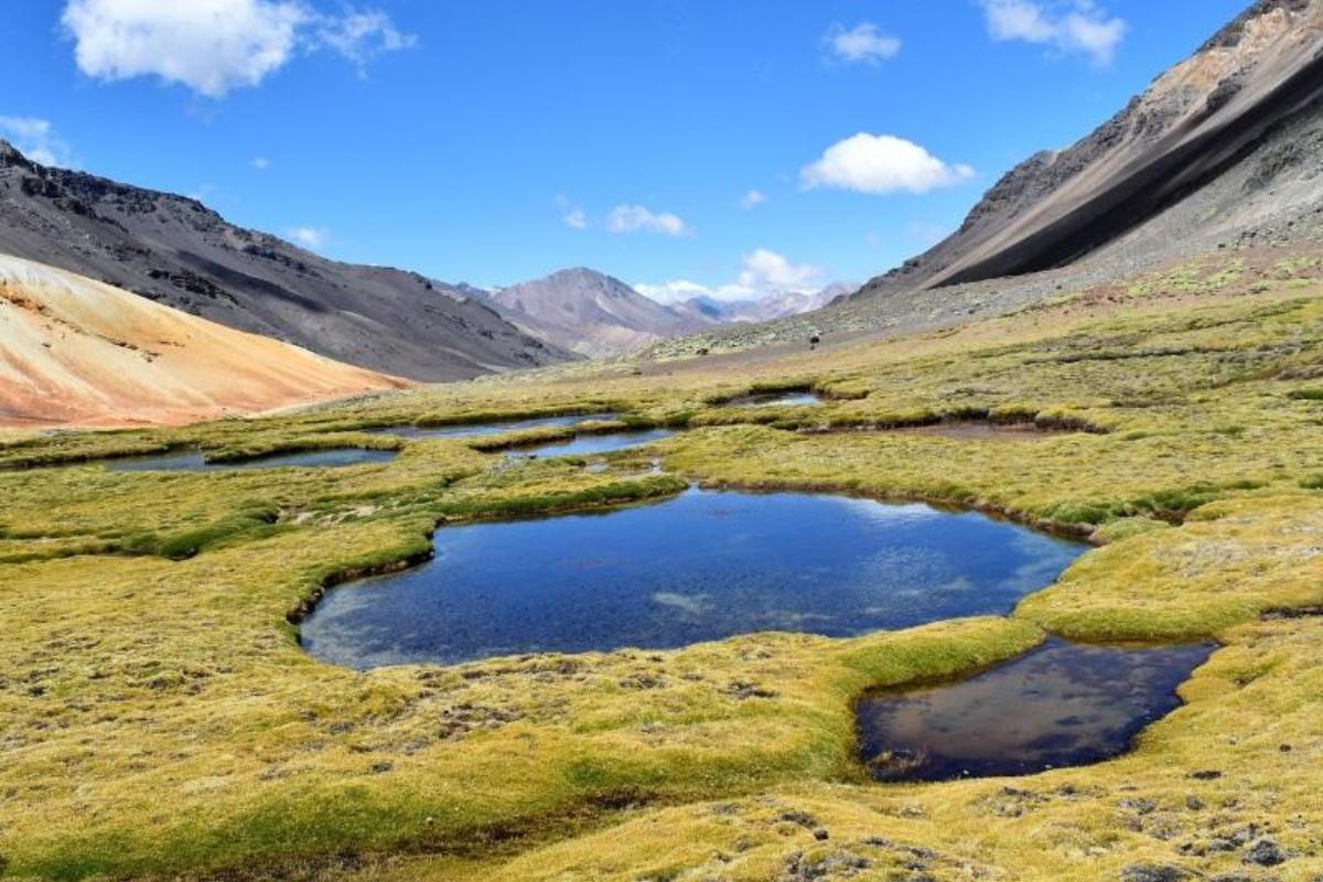 What Is a Lentic Ecosystem? - Characteristics and Examples