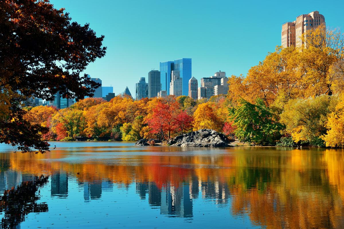 Green Spaces In Urban Environments Benefits And Importance
