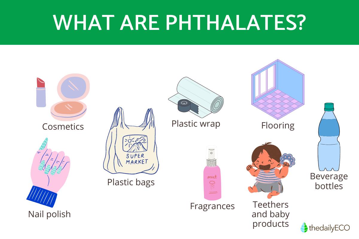 Phthalates - What They Are, How They Affect You, and Where to Find Them
