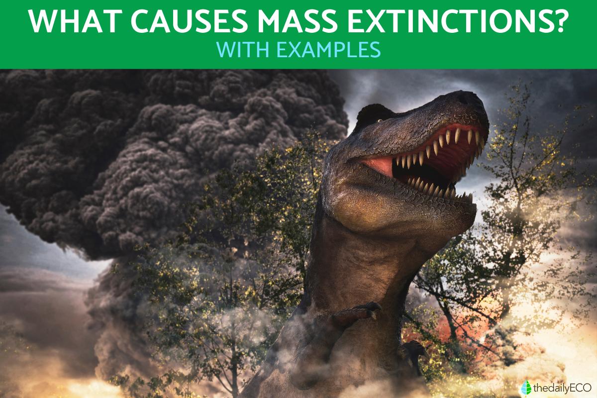 What Causes Mass Extinctions? - Extinction Event Types