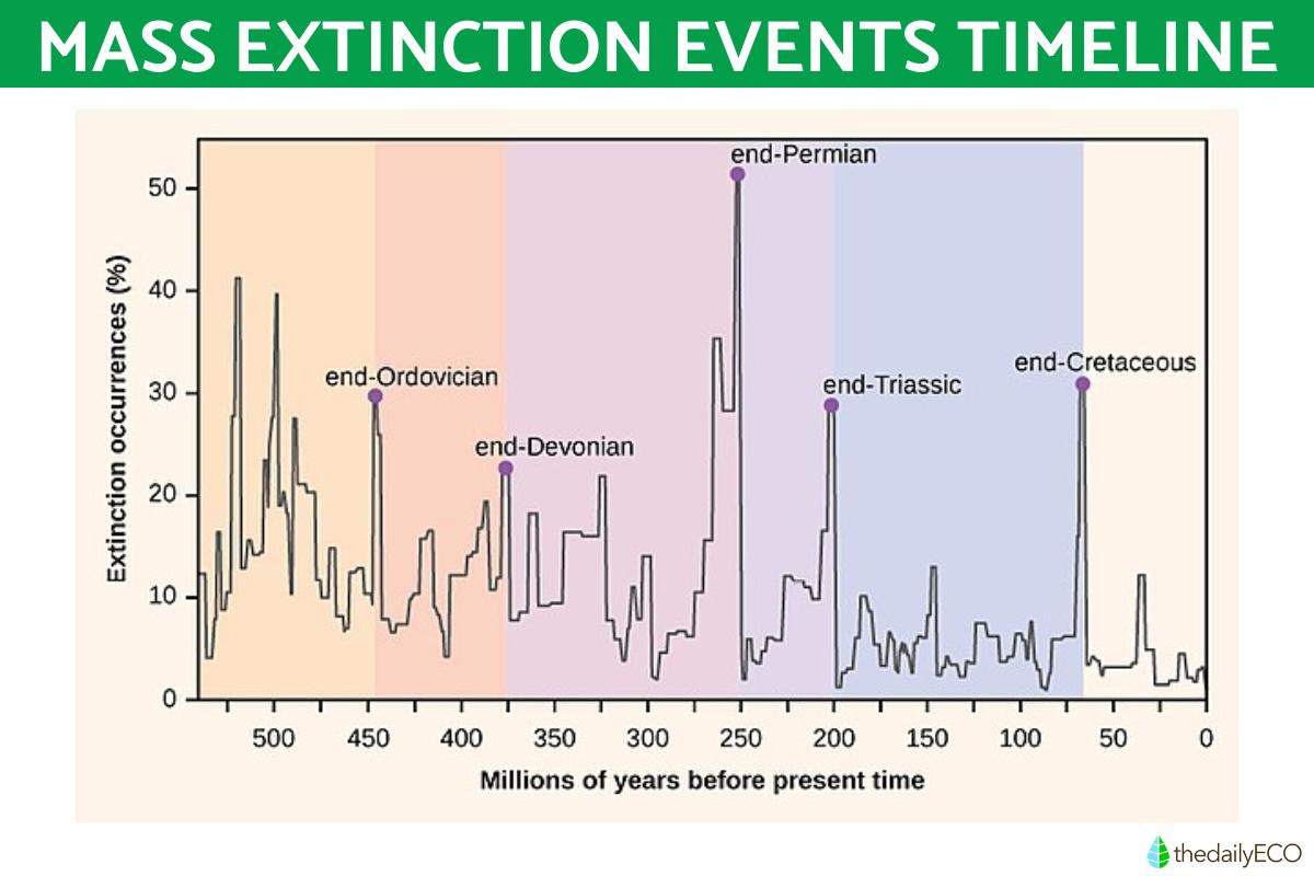 What Causes Mass Extinctions? - Extinction Event Types