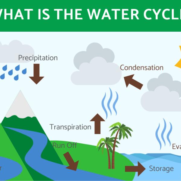 How Do You Explain The Water Cycle - Infoupdate.org