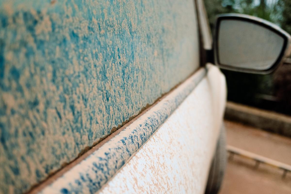 What Is Mud Rain? - Causes of Rain Dust