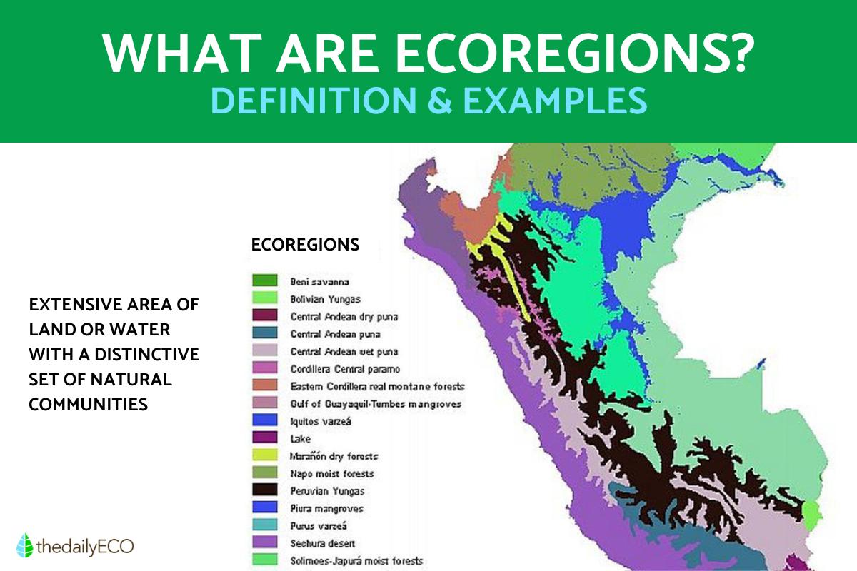 What Is an Ecoregion? - Definition With Examples and Photos