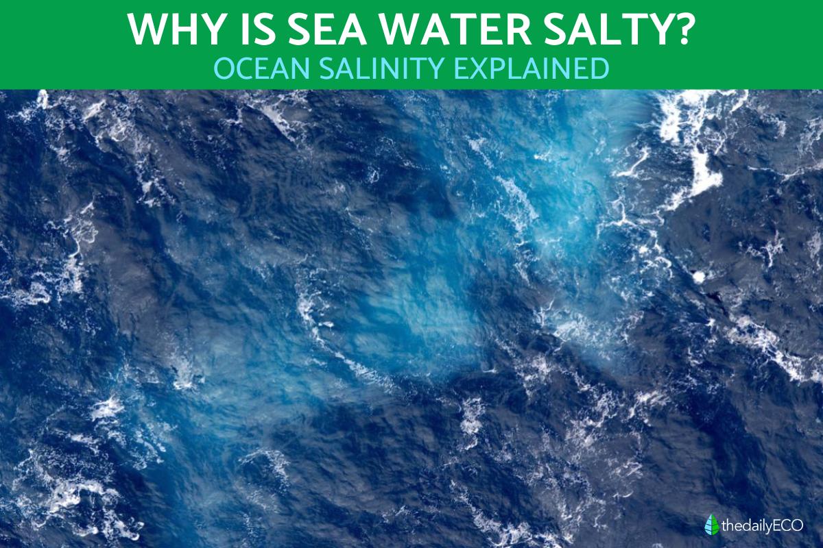 Why Is Sea Water Salty? - Ocean Salinity Explained