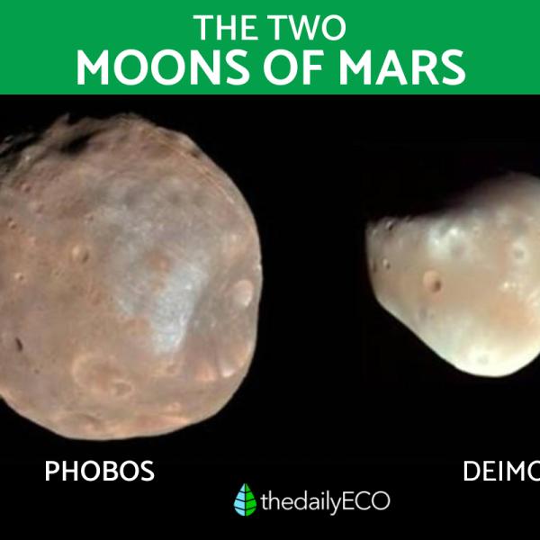 information on mars moons