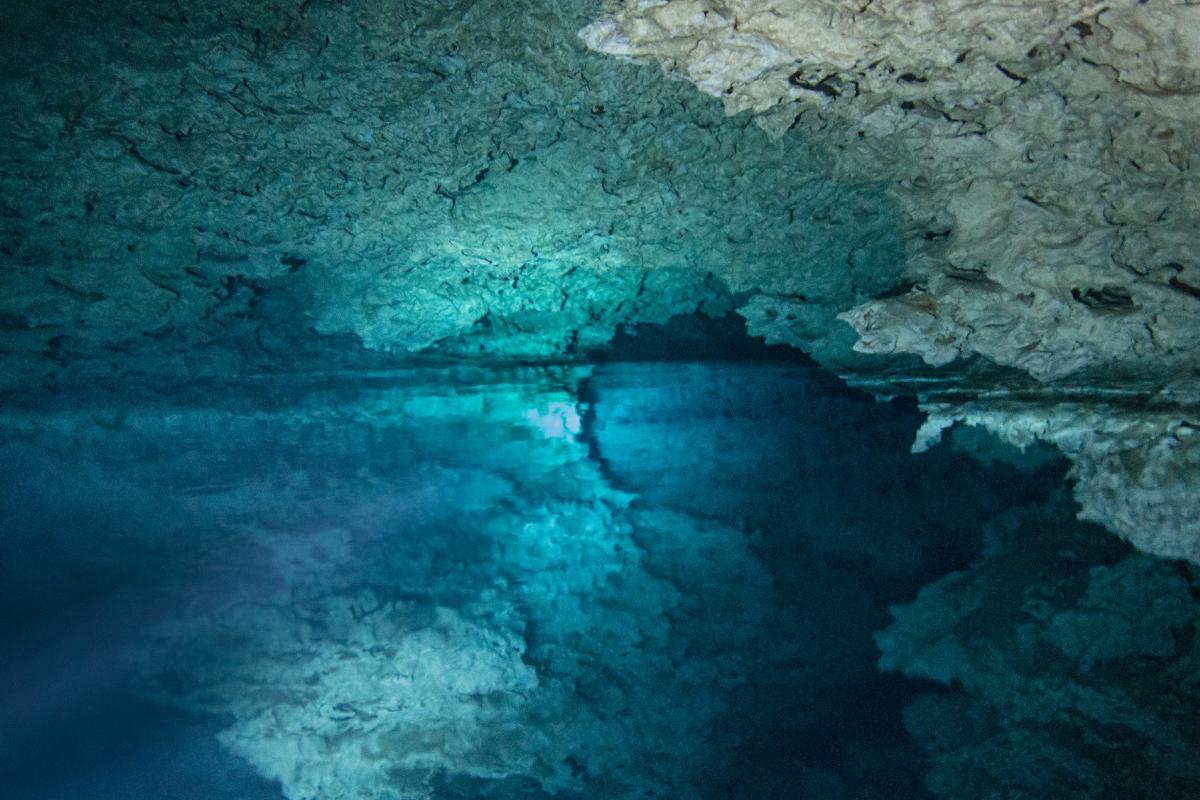 What Is Halocline in Oceanography? - Definition and Types