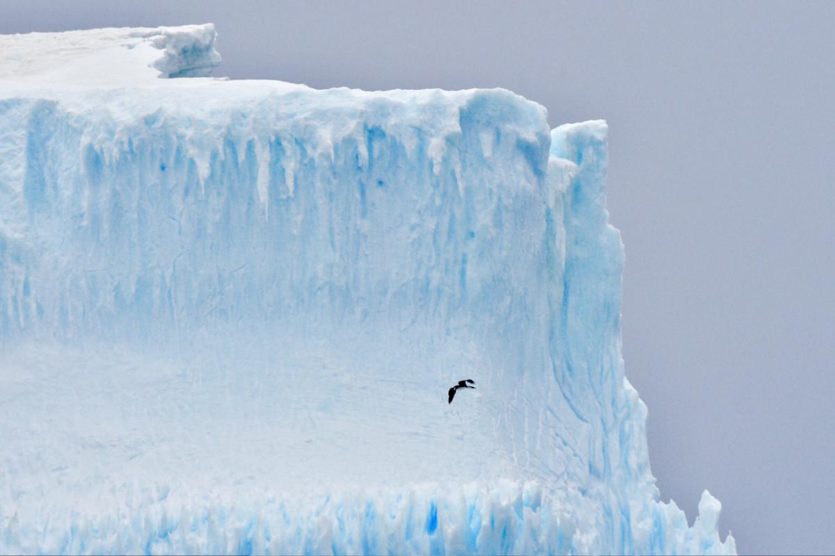 Cryosphere - Definition, Main Characteristics, Importance and Climate ...