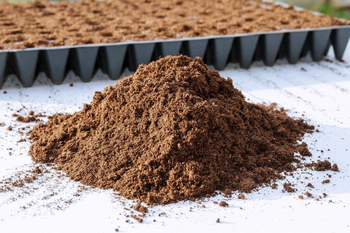 Types of Peat Moss for Plants - Peat Types and Uses